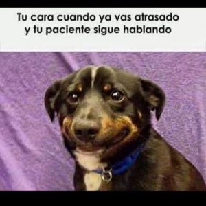 Los 12 mejores memes de fisioterapia - Psoas Formación